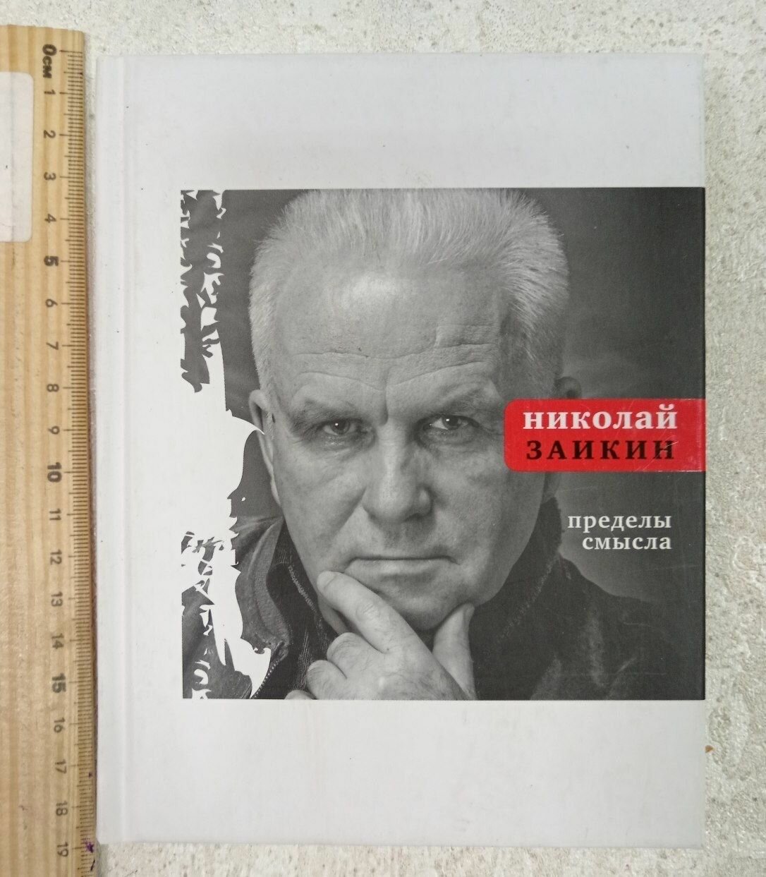 Пределы смысла. Николай Заикин
