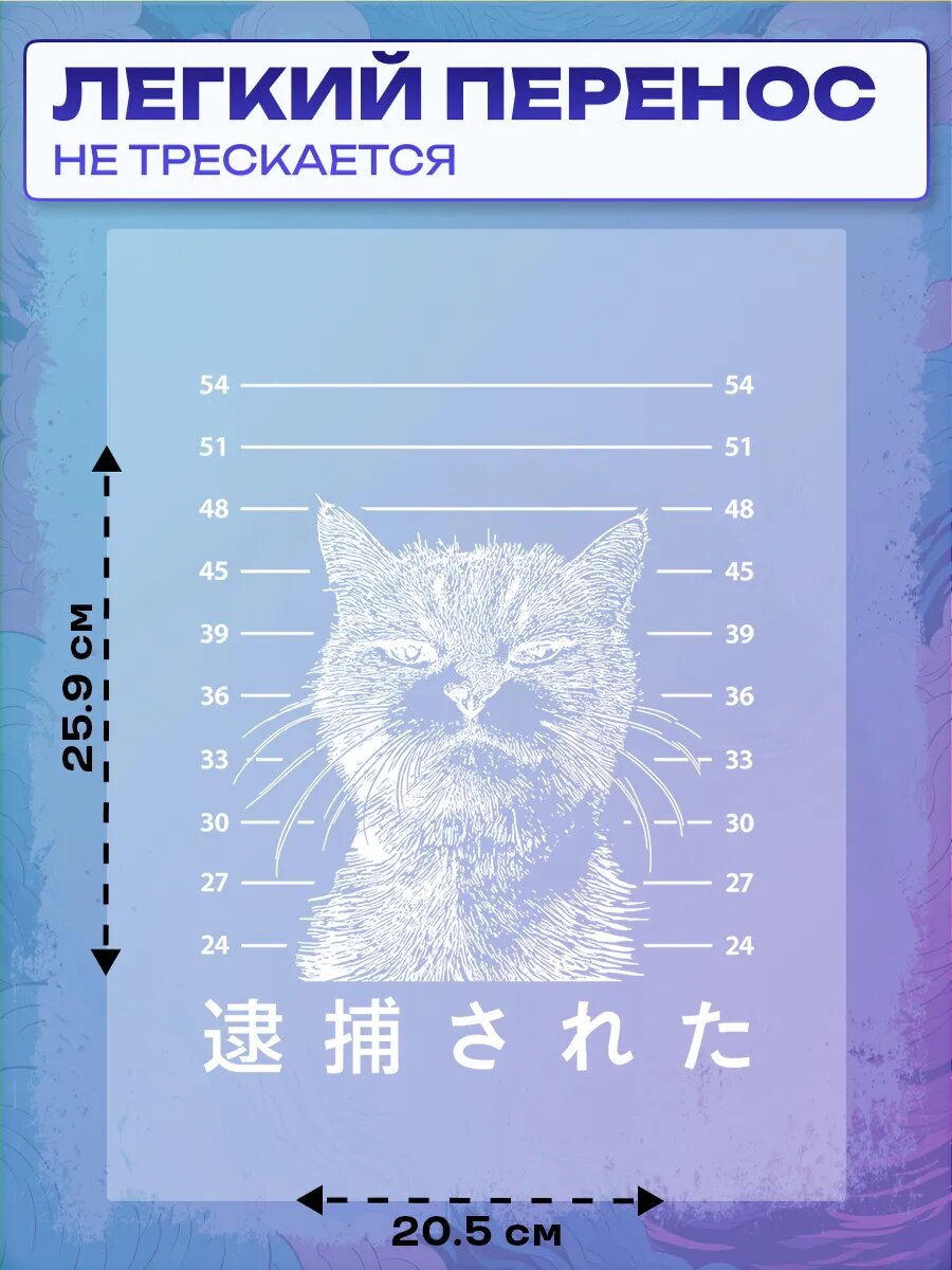 Термонаклейка кот — фото 1