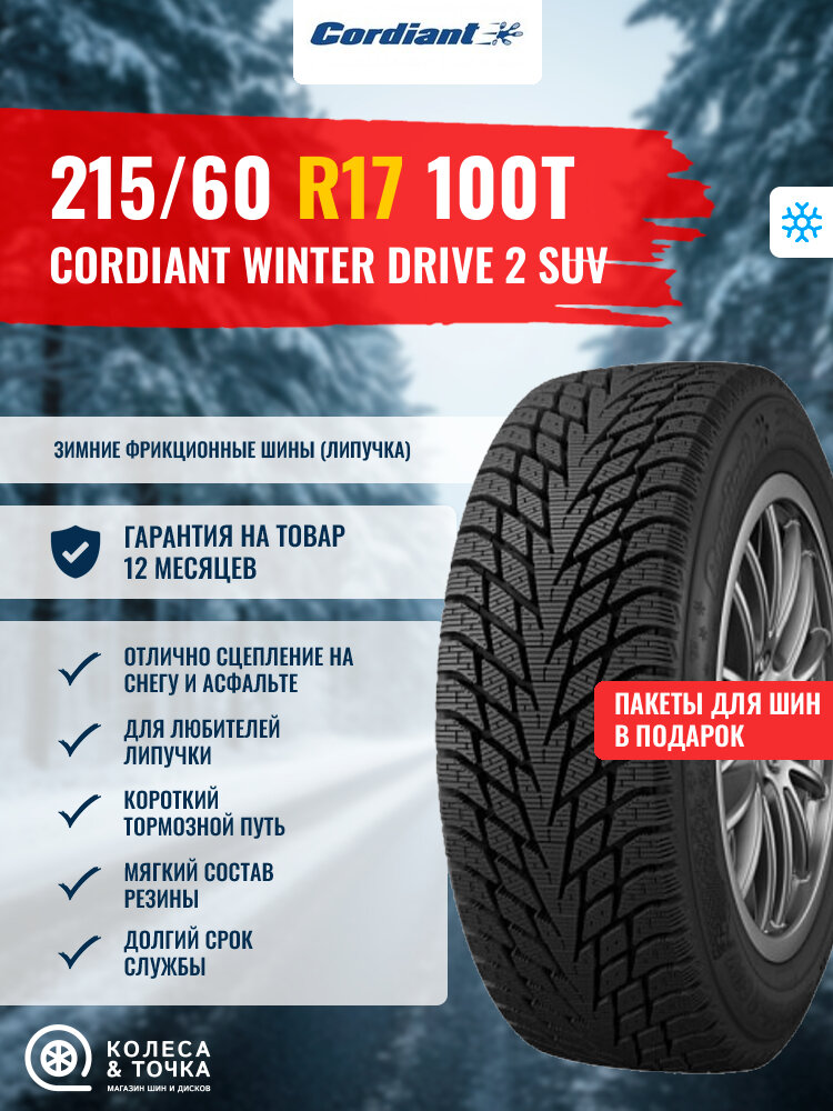 CORDIANT WINTER DRIVE 2 SUV 215/60R17 100T (зима) (347508)