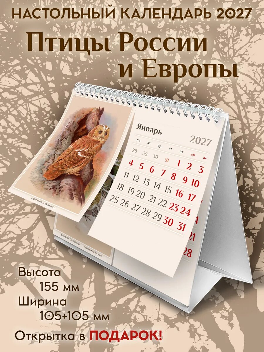 Настольный календарь-домик, 2027 г, "Птицы России и Европы"