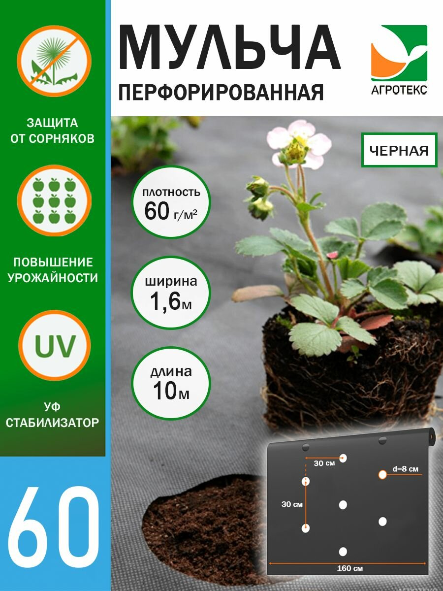Укрывной материал для растений на зиму, черный спанбонд 60, перфорированная черная мульча от сорняков с готовыми отверстиями 1,6х10м
