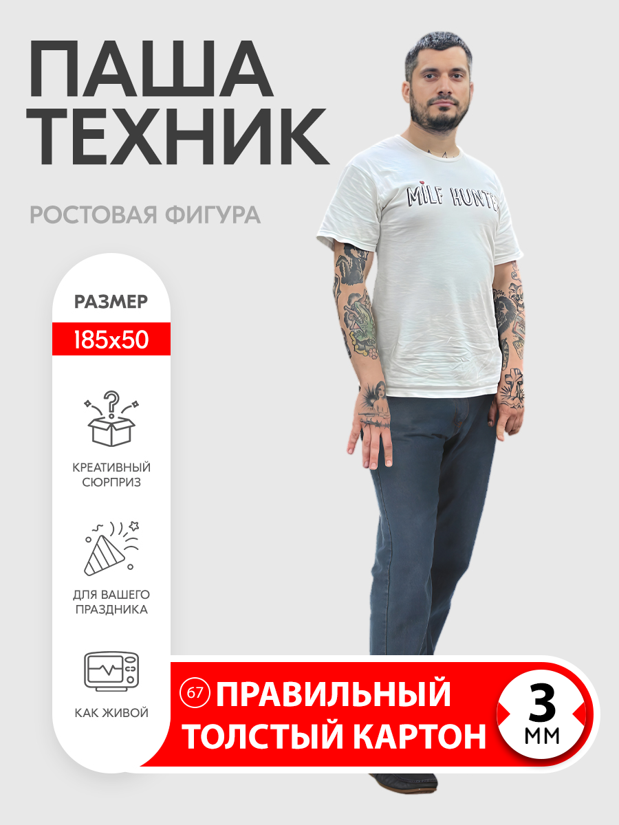 Аксессуар для фотосессий, самое это, Паша Техник 2, ростовая фигура