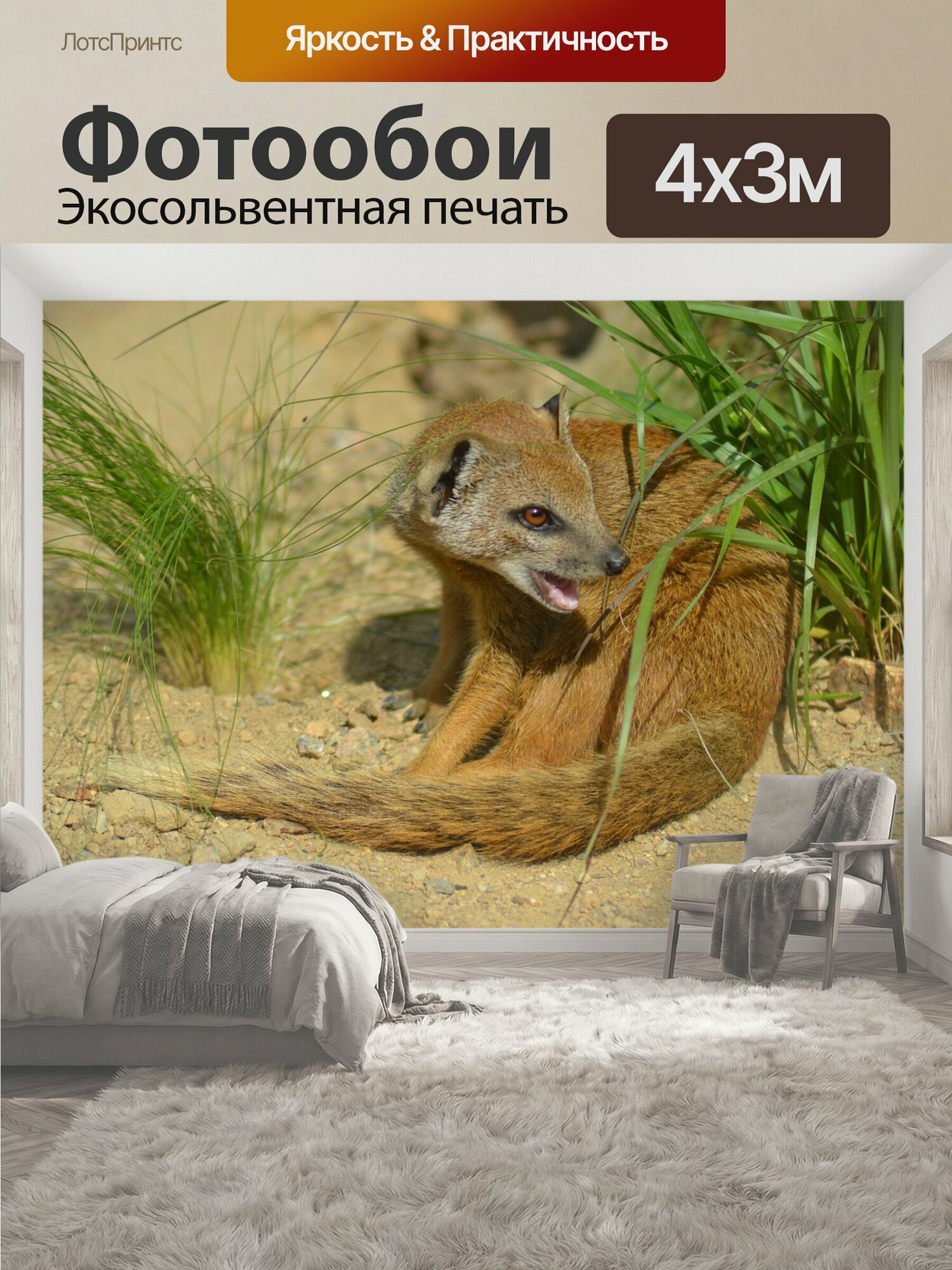 Фотообои "Желтый мангуст, cynictis penicillata, африка" 400x300 см. экосольвентная печать