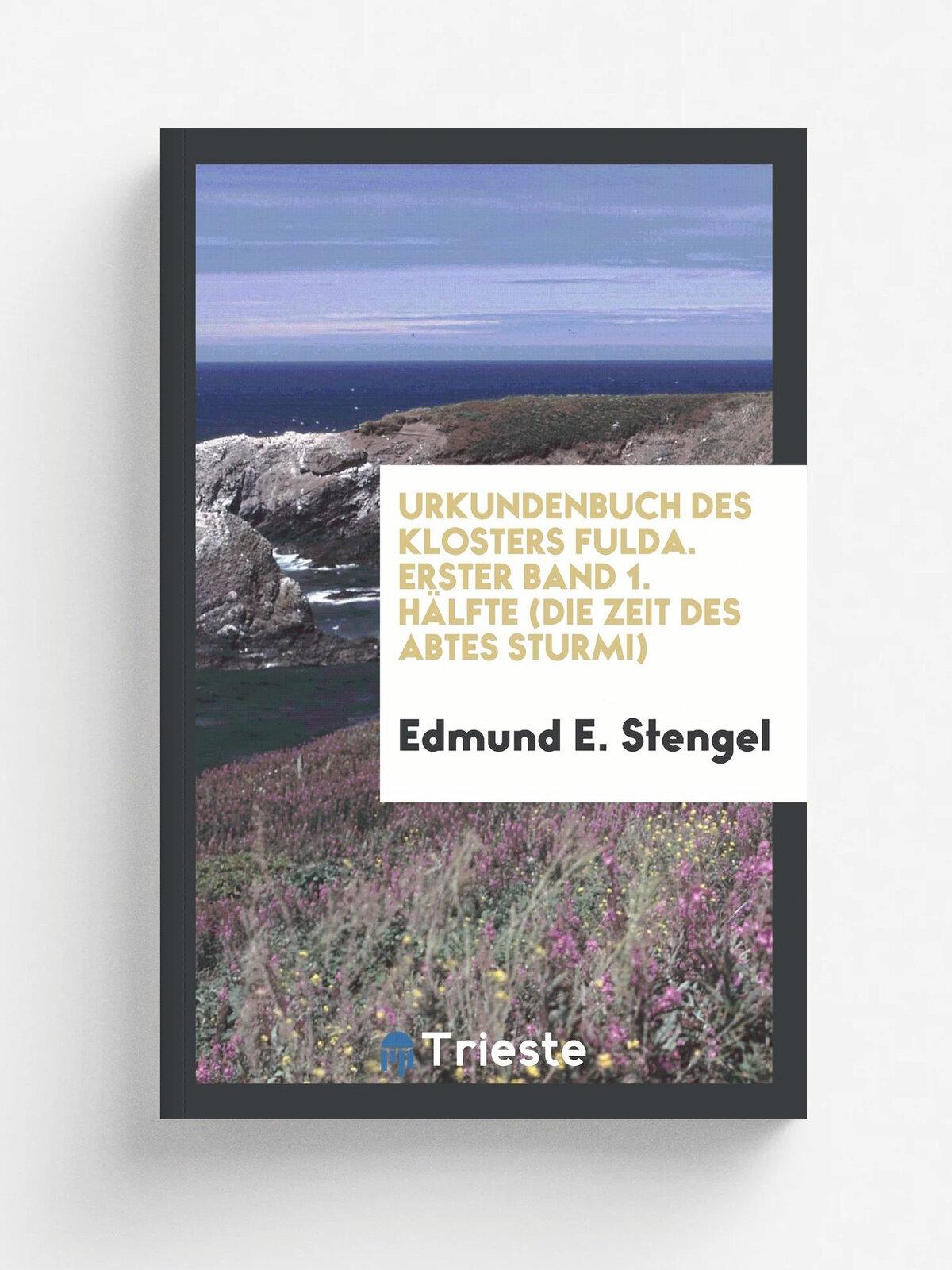 Urkundenbuch des Klosters Fulda