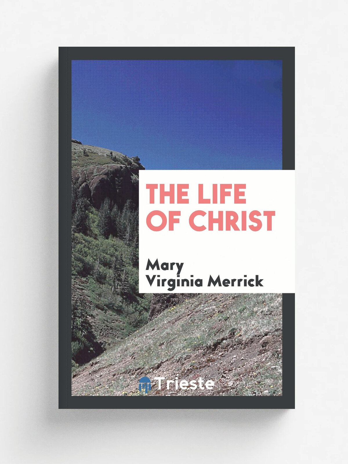 The life of Christ;