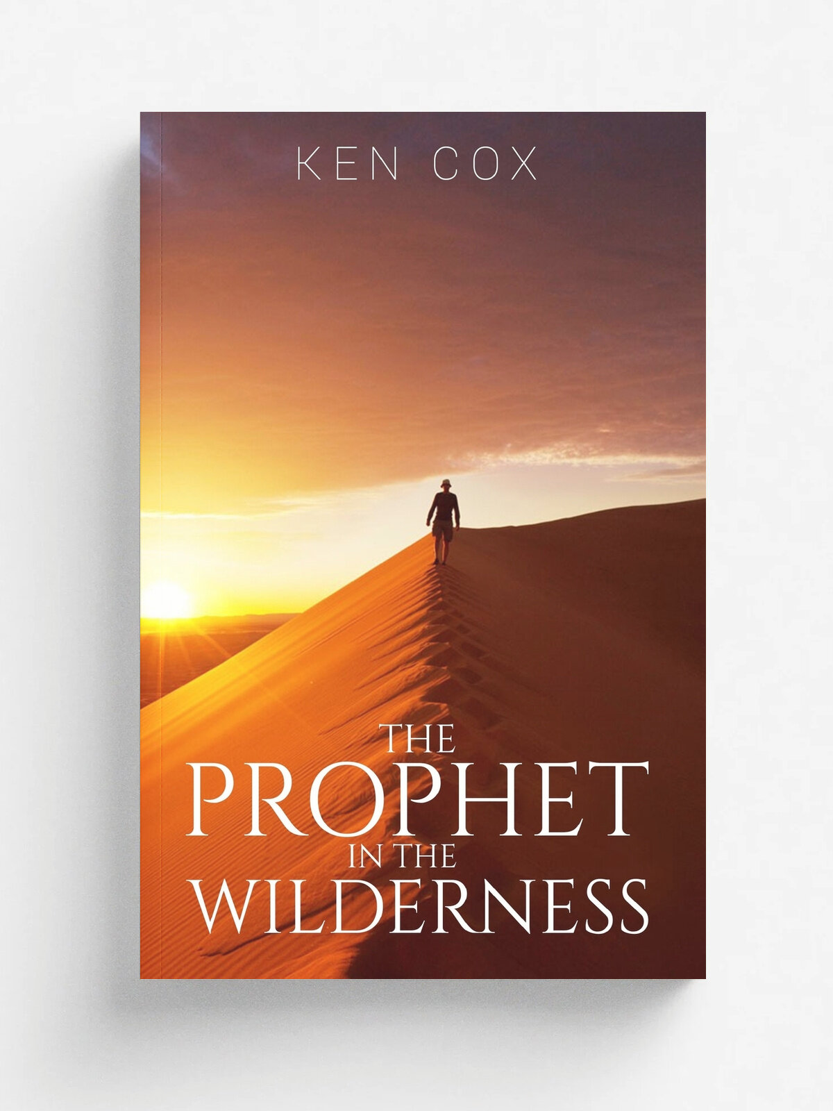 The Prophet In The Wilderness