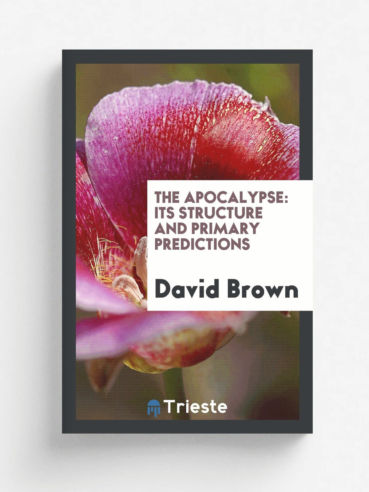 The Apocalypse. its structure and primary predictions