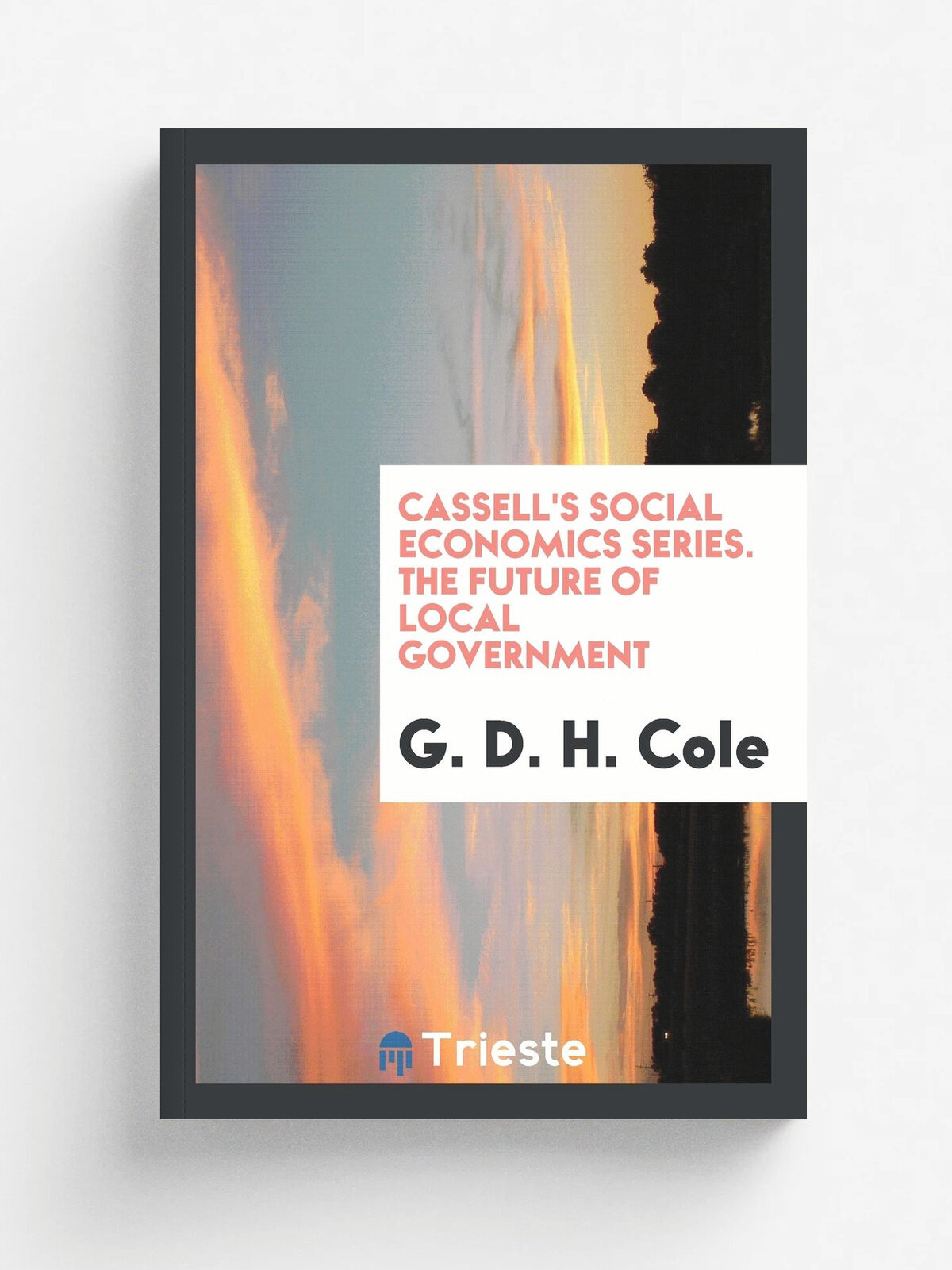 The future of local government