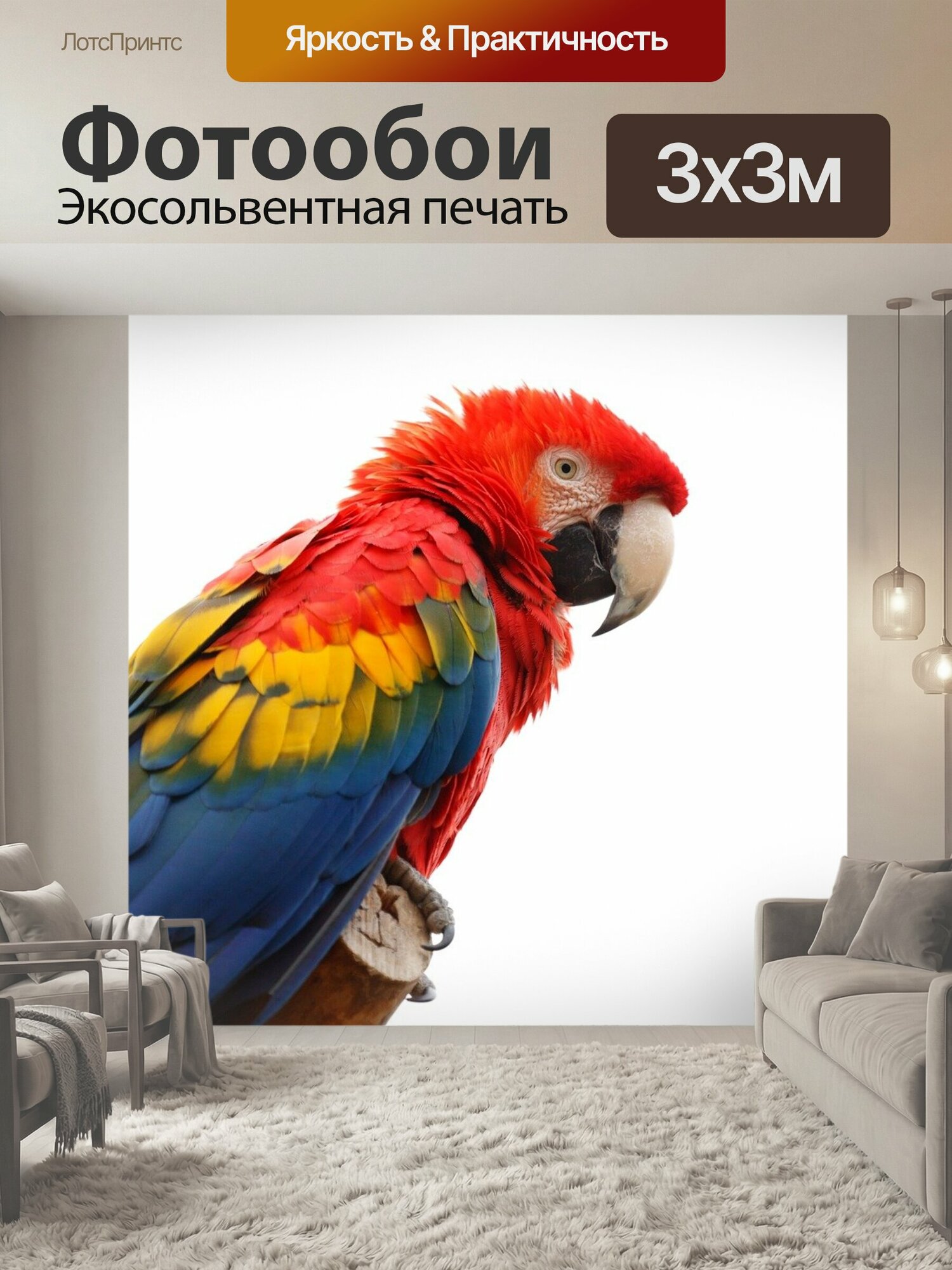 Фотообои "Животное, ара, макао" 300x300 см. экосольвентная печать