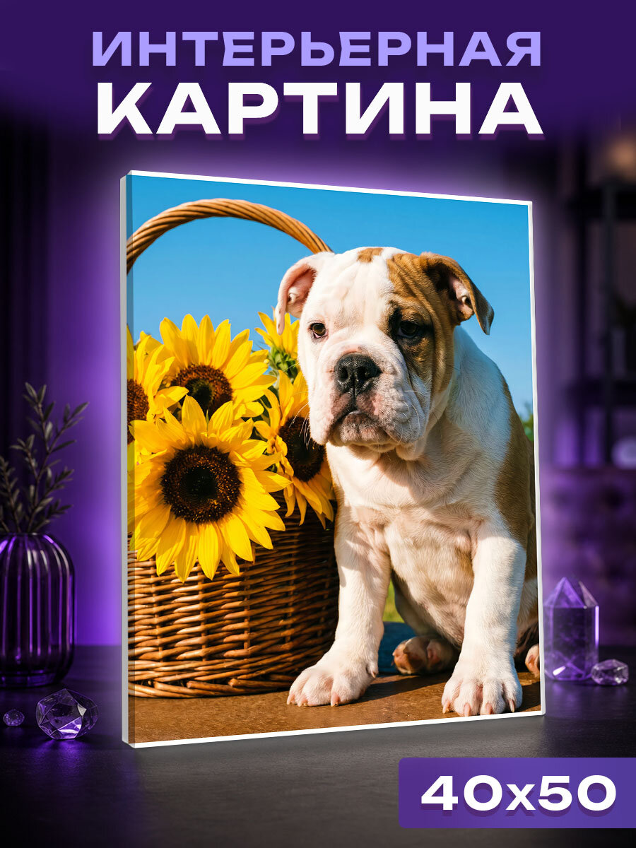 Интерьерная картина ретриверы греются у камина