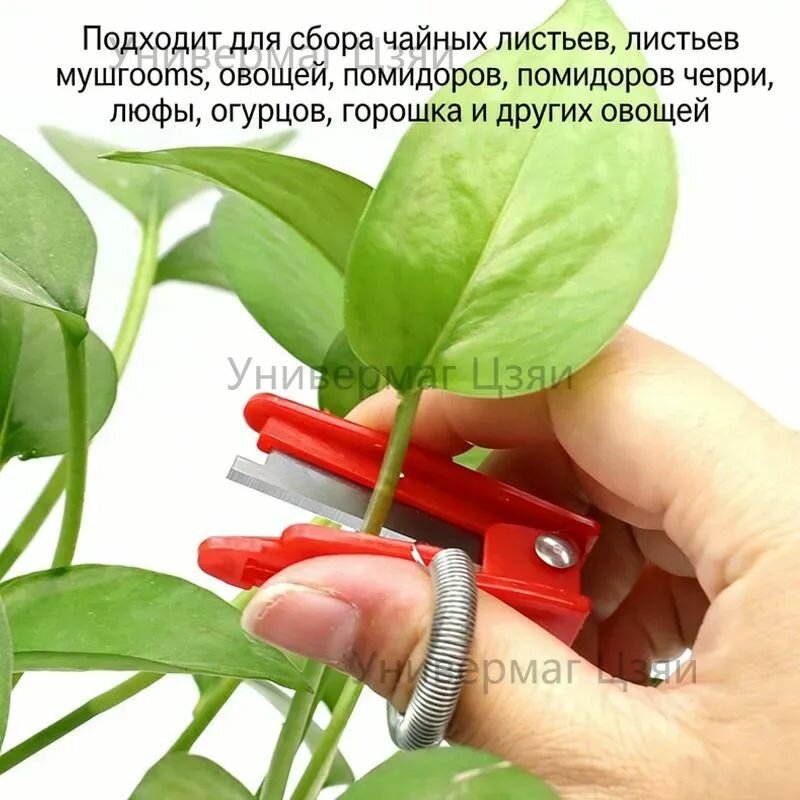 Сучкорез