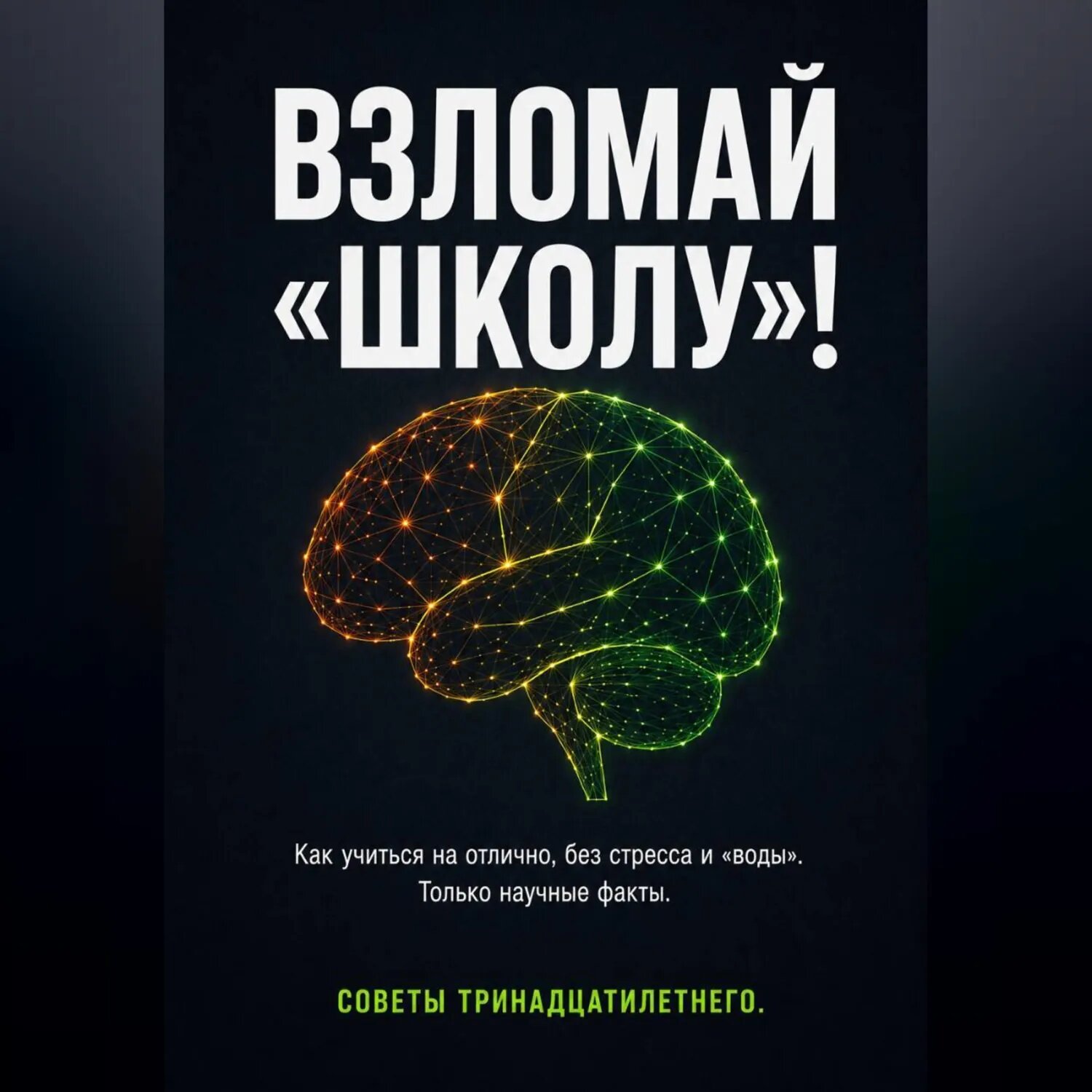 Взломай «школу»! Как учиться на отлично, без стресса и «воды». Только научные факты. Советы тринадцатилетнего. [Аудиокнига]