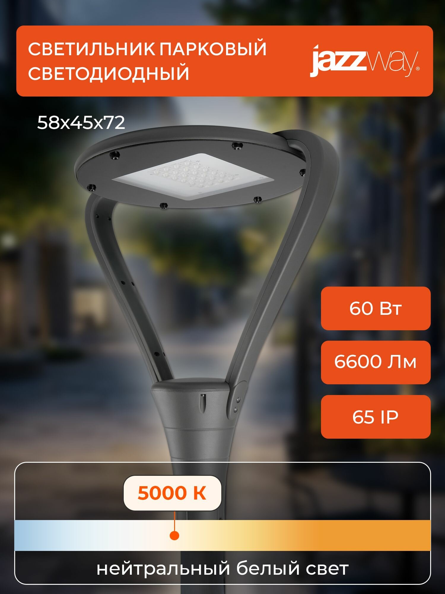 Светильник уличный парковый Jazzway PGL 02 60w 5000K GR IP65