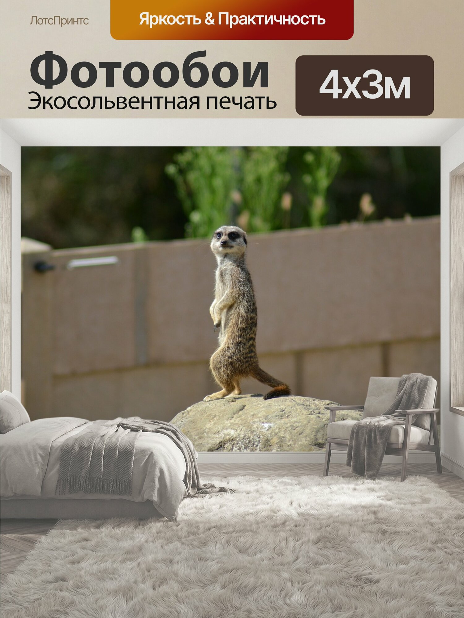 Фотообои "Сурикат, сурик, простые" 400x300 см. экосольвентная печать