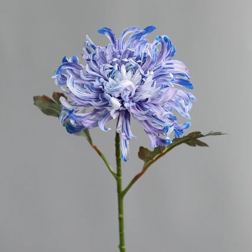 Искусственный шелковый цветок хризантема 50 см Синий, Blue purple