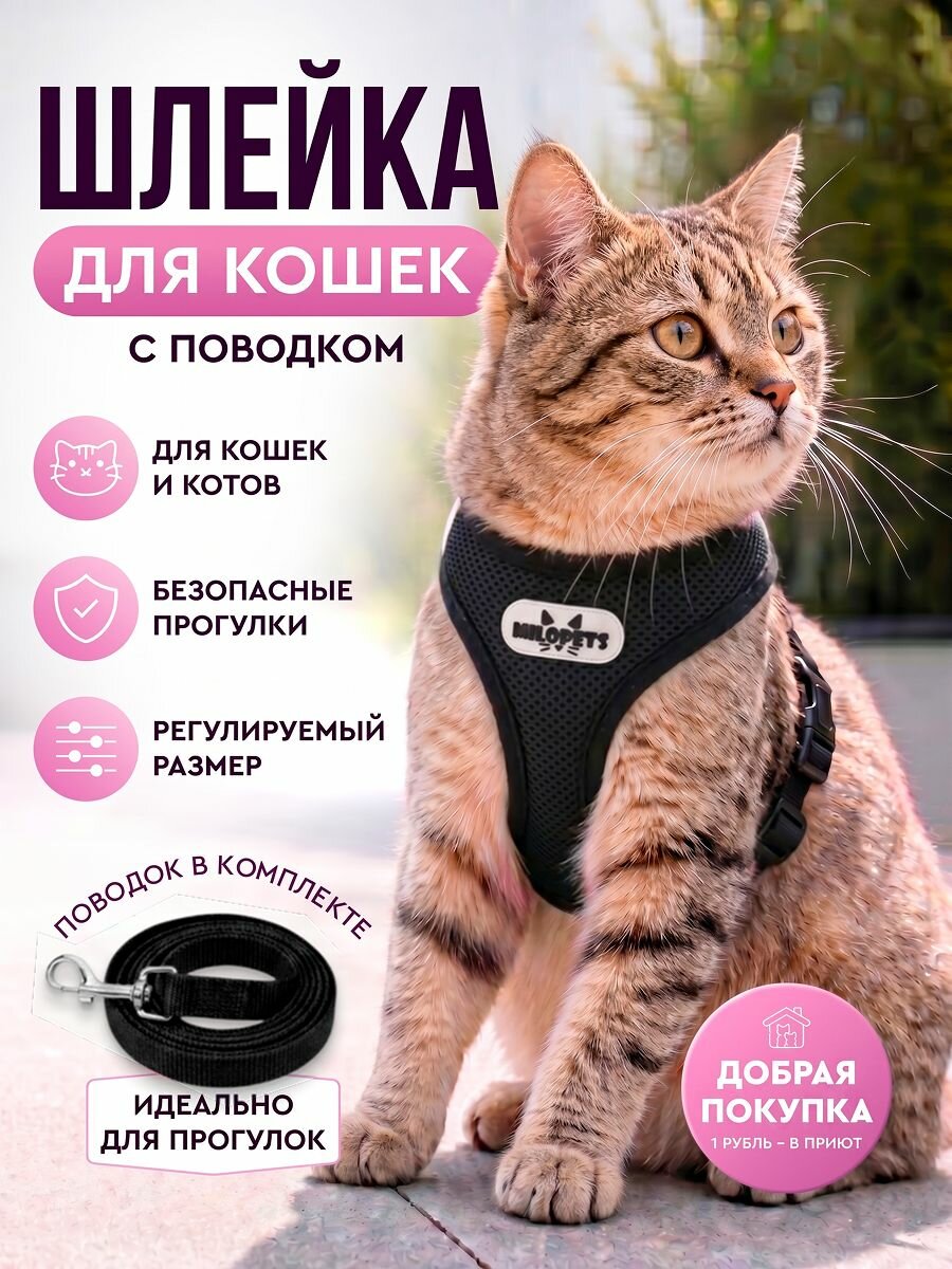 Шлейка с поводком для собак мелких пород и кошек анатомическая MiloPets, обхват груди S 26-34 см, цвет черный комплект для выгула для домашних животных