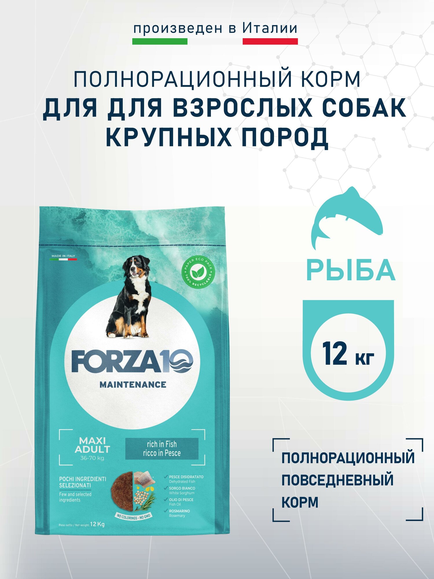 Корм сухой для собак Forza10 Maxi Maintenance для крупных пород с рыбой, 12 кг