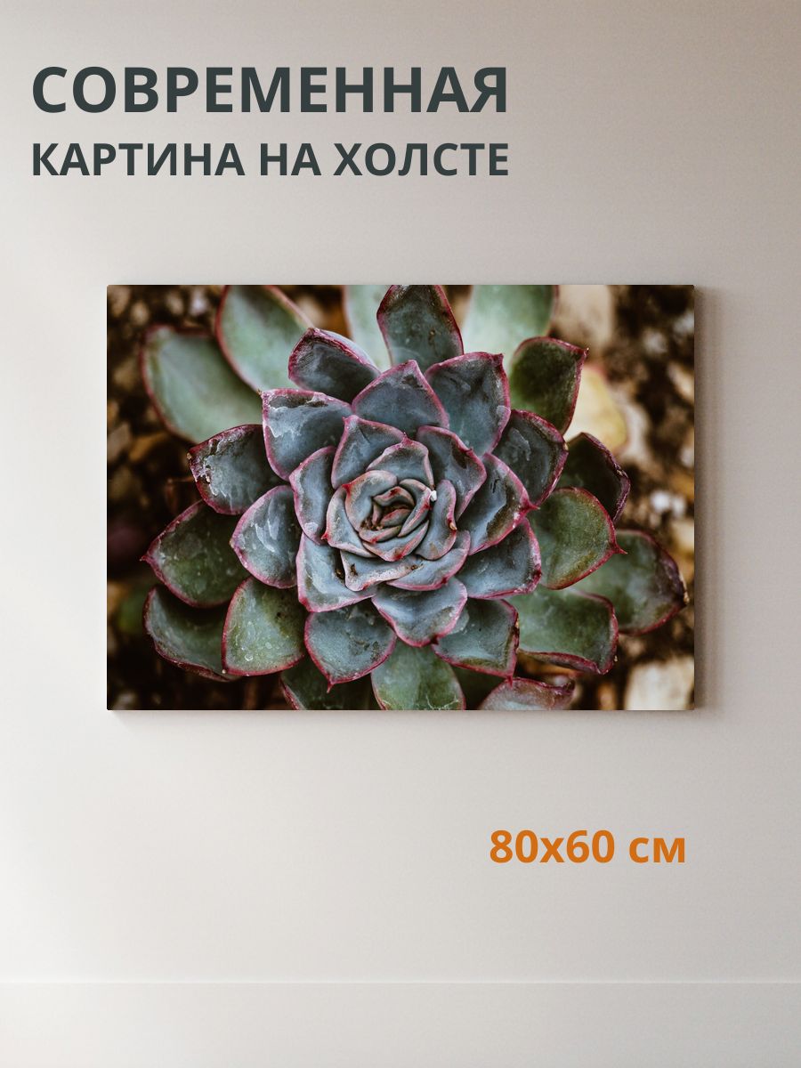 Картина на холсте Растение 80x60 см