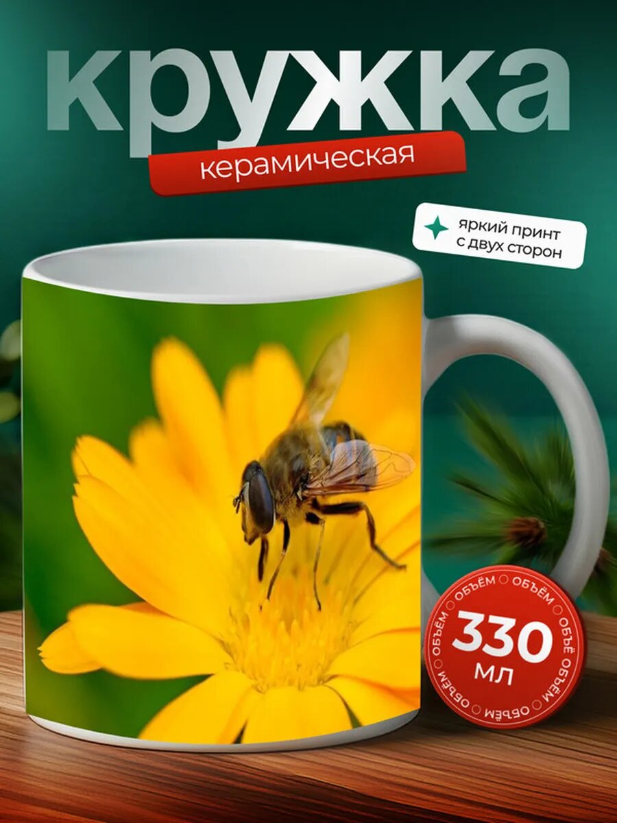 Кружка Дрозофила насекомое 7,