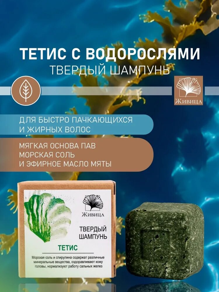Живица, Натуральный твердый шампунь Тетис с водорослями, для жирных и быстро пачкающихся волос, 50 гр