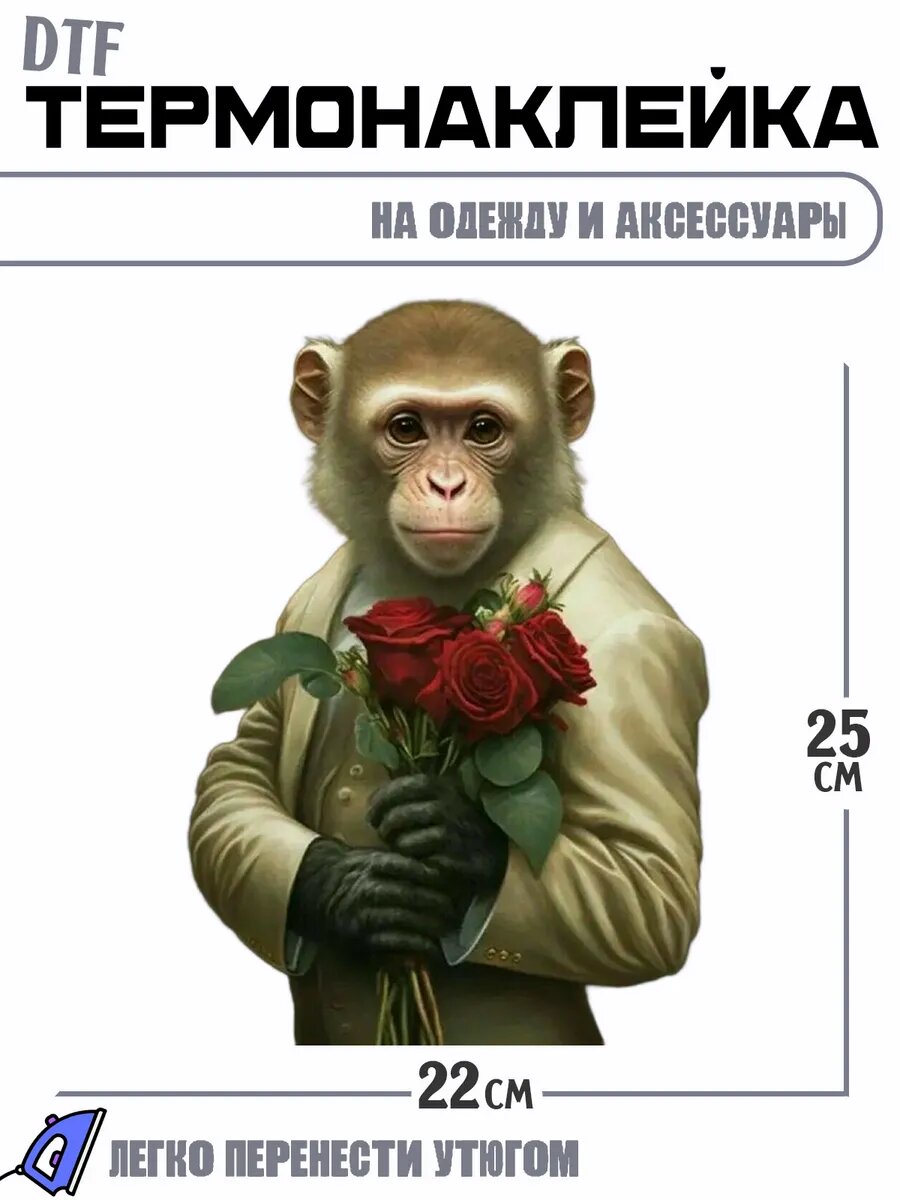 Термонаклейка обезьяна a monkey в смокинге