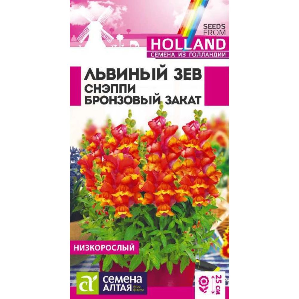 Львиный зев Снэппи Бронзовый закат 7 семян /Семена Алтая