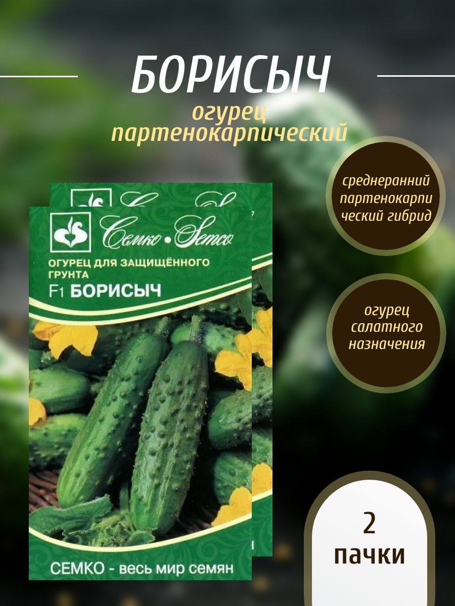 Семена, Огурец Борисыч F1, 2 пачки