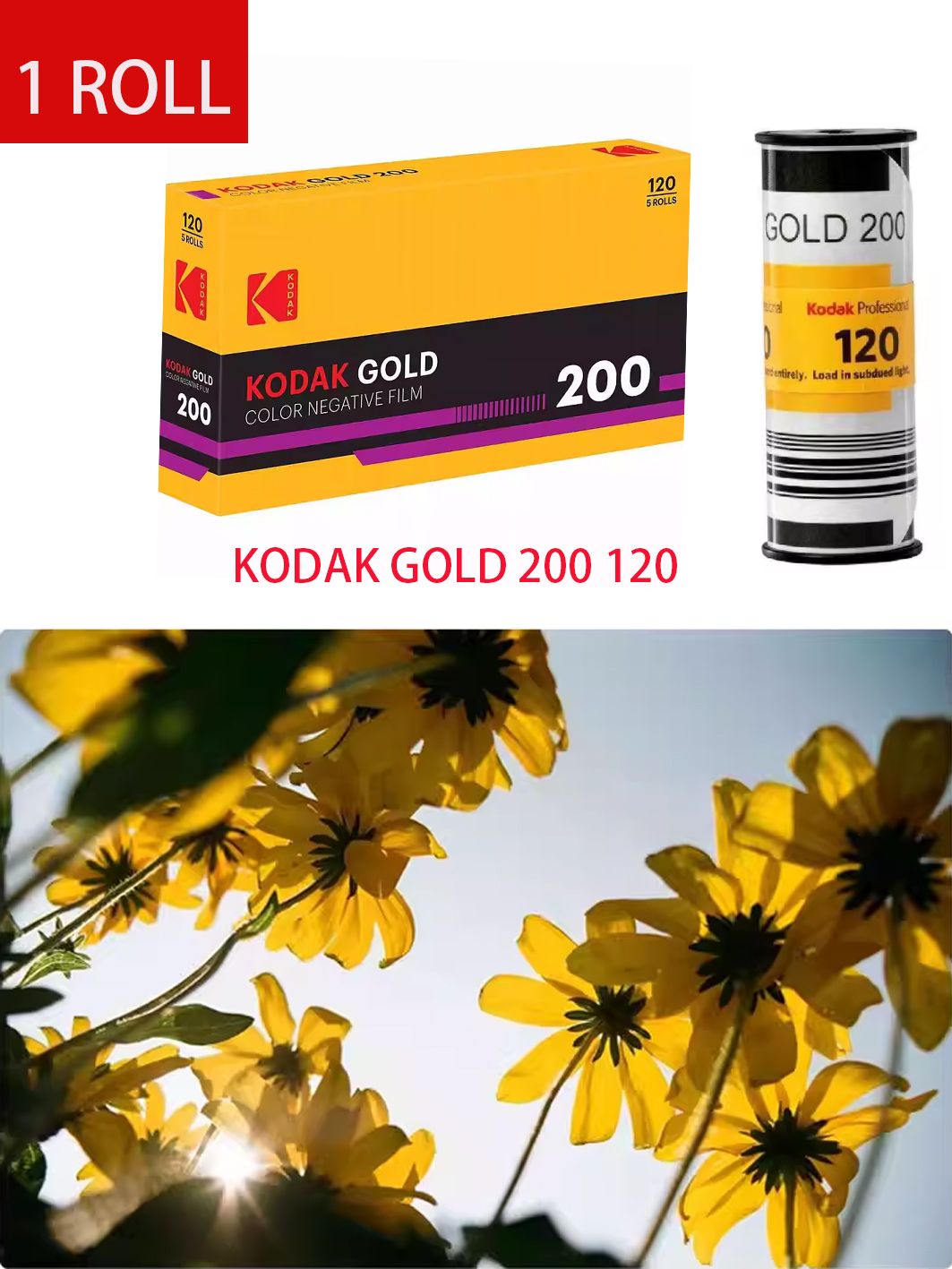 1 ROLL Фотопленка Kodak gold цветная 120 мм 2028 год