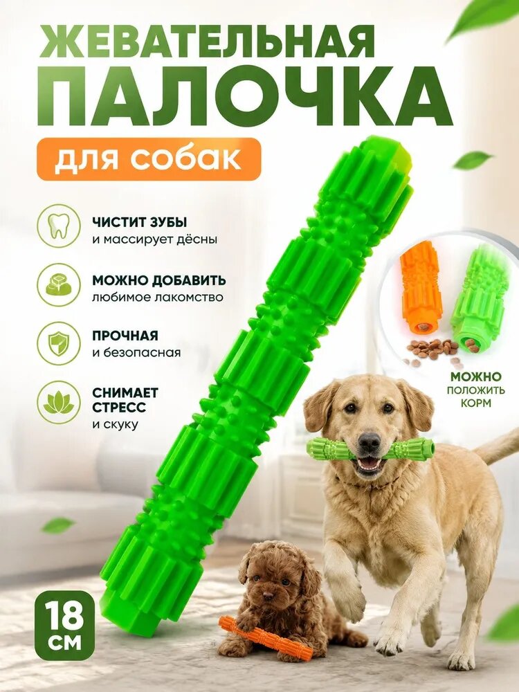 Жевательная игрушка‑грызунок 18 см из прочной резины с шипами, для собак, массаж дёсен и очистка зубов питомца