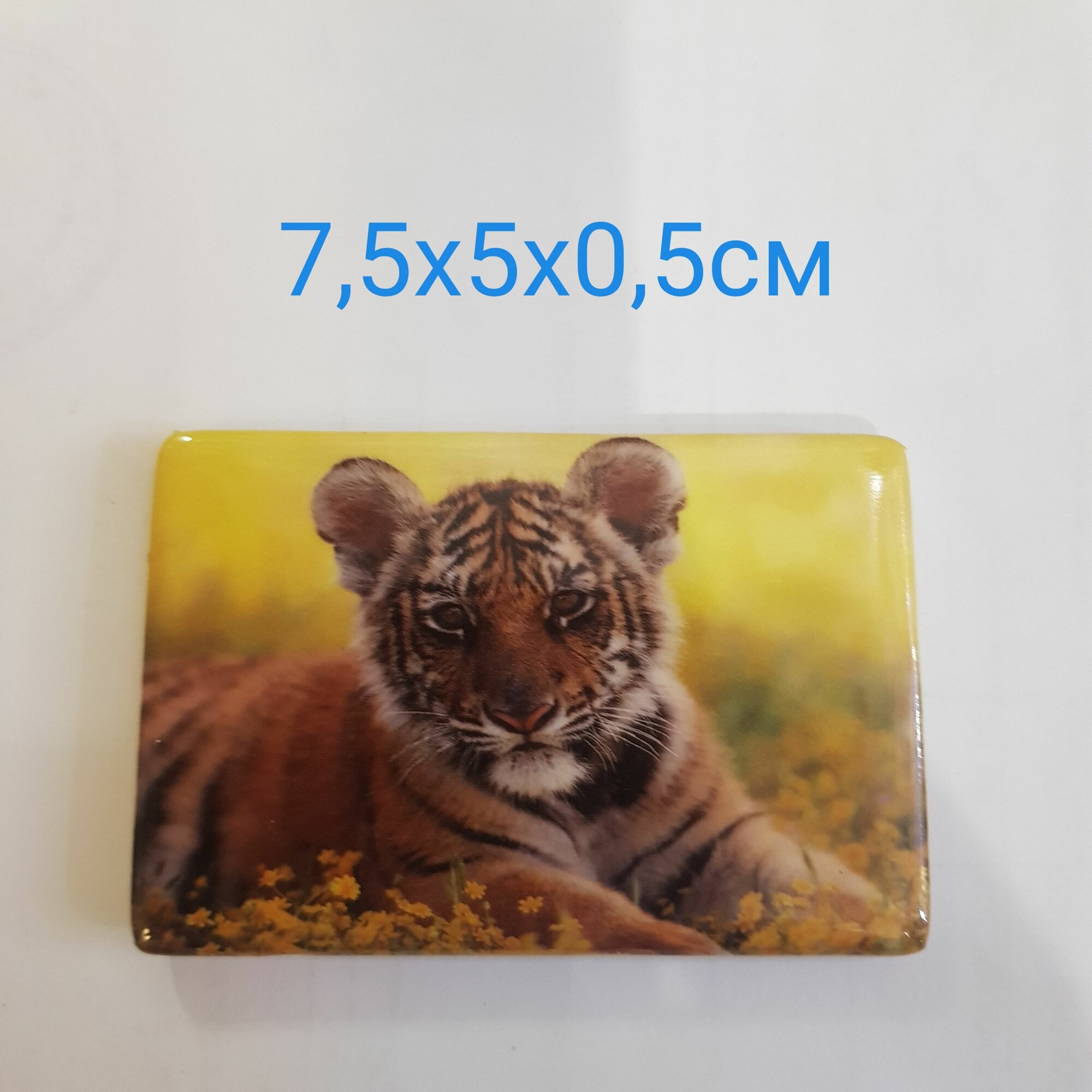 Изделие декоративное Магнит "Тигр" 7,5х5х0,5см, керамика, 3415Е