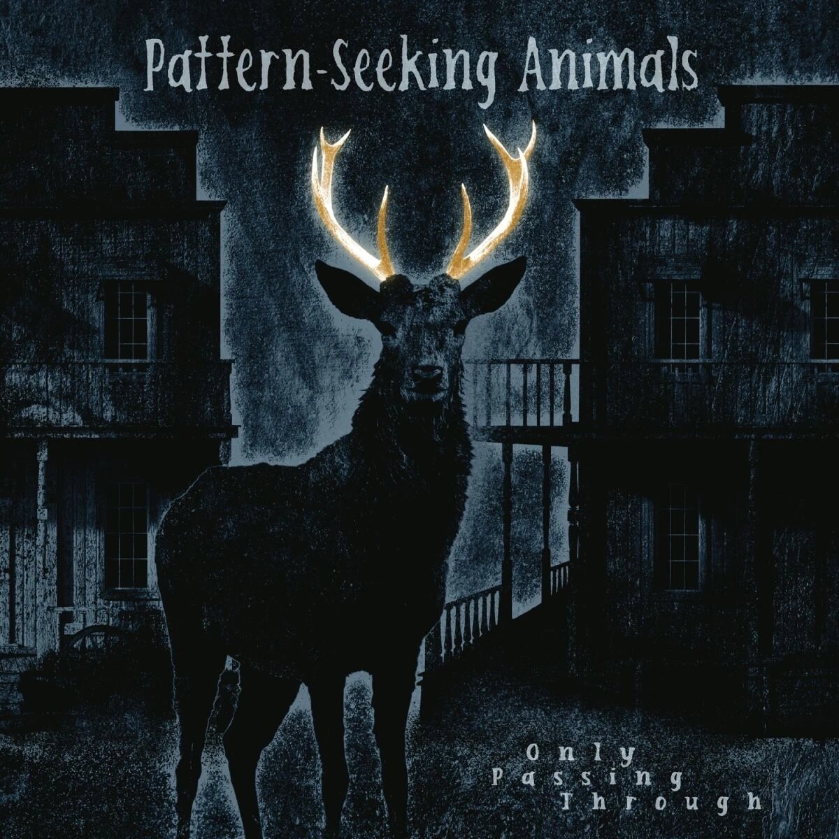 Pattern-Seeking Animals: Only Passing Through (Deluxe, Digi) (CD) SONY Музыкальный диск