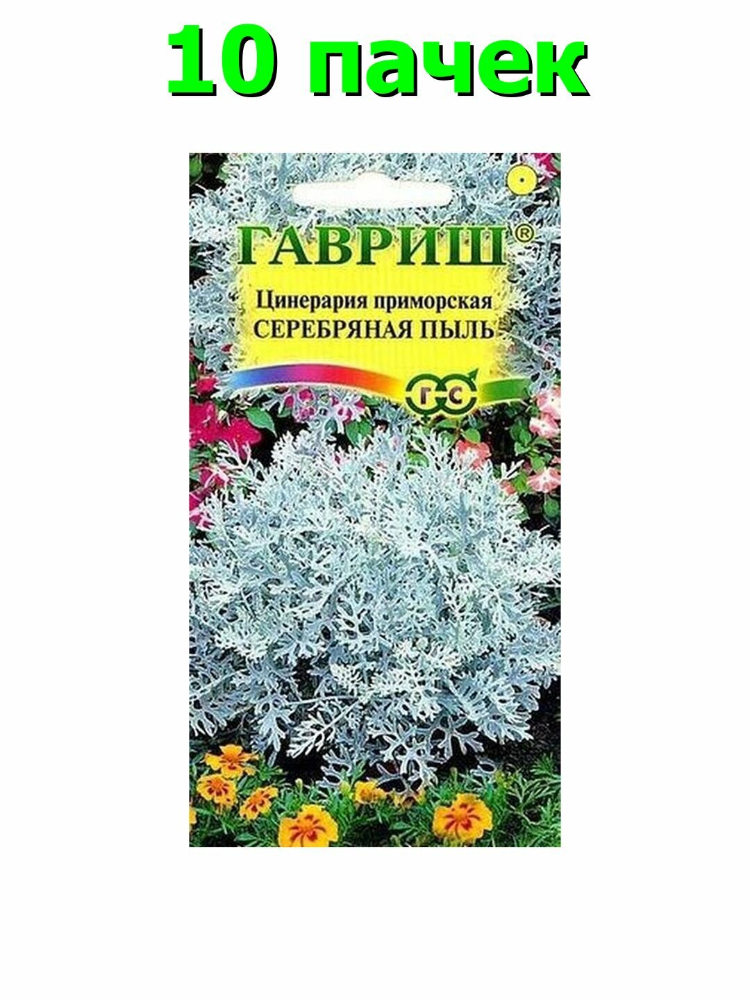 Семена Цинерария приморская Серебряная пыль, многолетние, Гавриш, 1 пачка - 0.1г семян