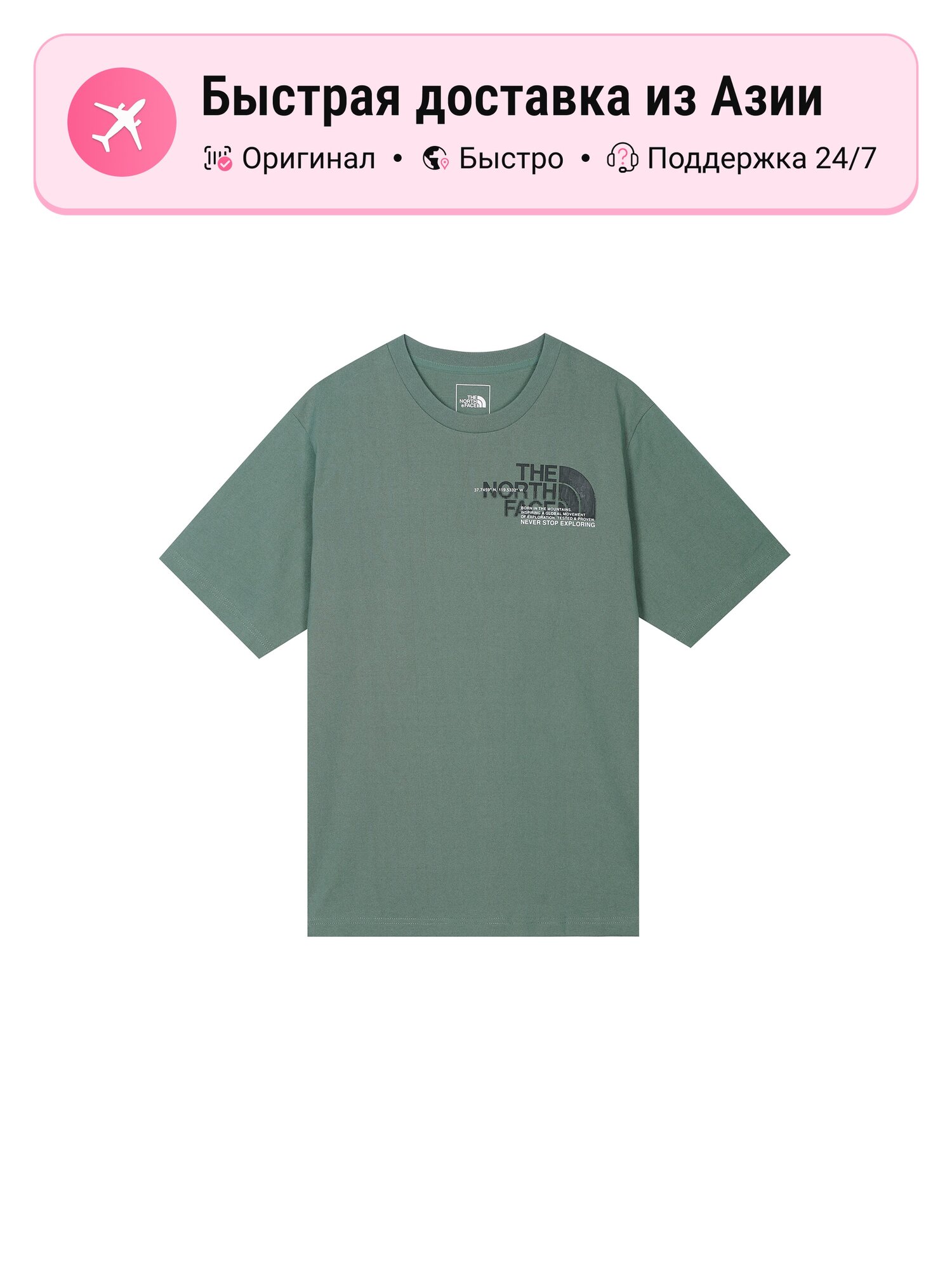 Футболка THE NORTH FACE