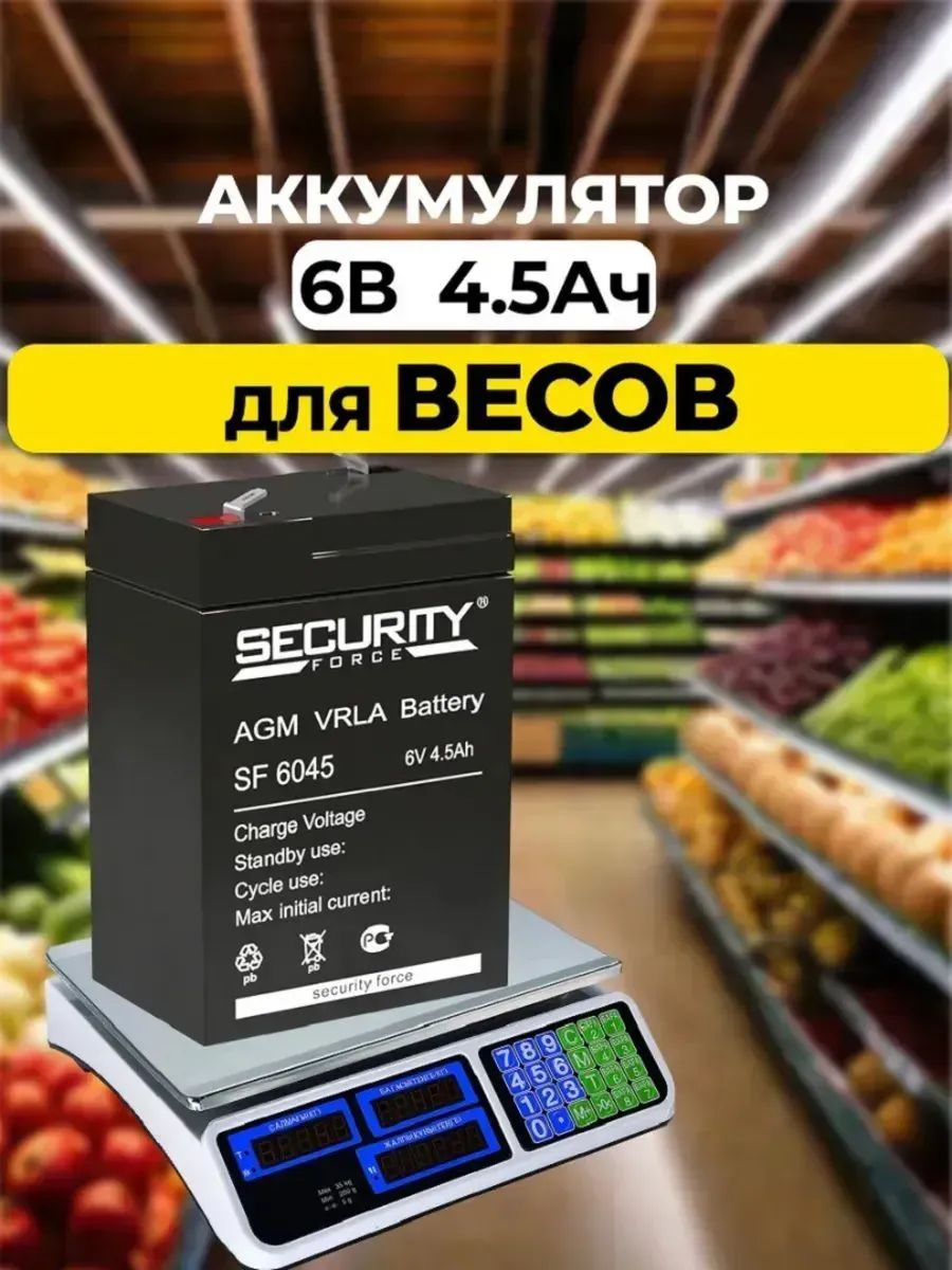 SF 6045 Аккумулятор 6В 4,5Ач