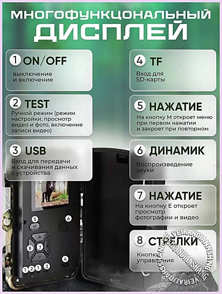 Фотоловушка — фото 1