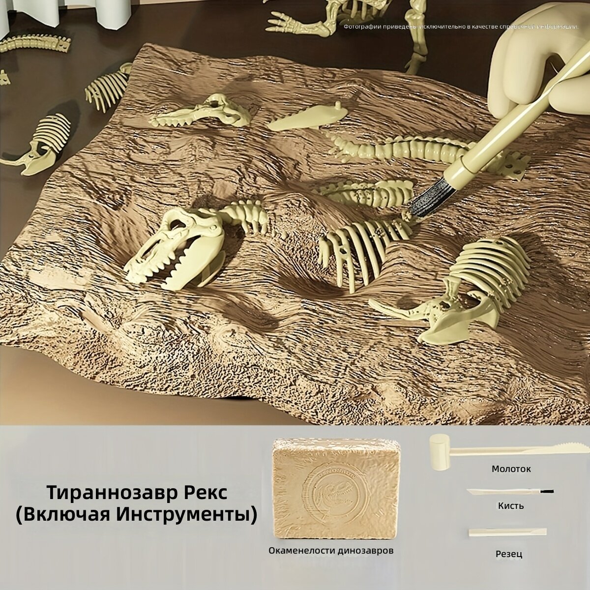 Набор для археологических раскопок динозавра из гипса с инструментами, модель Тираннозавр Рекс, 1 шт.