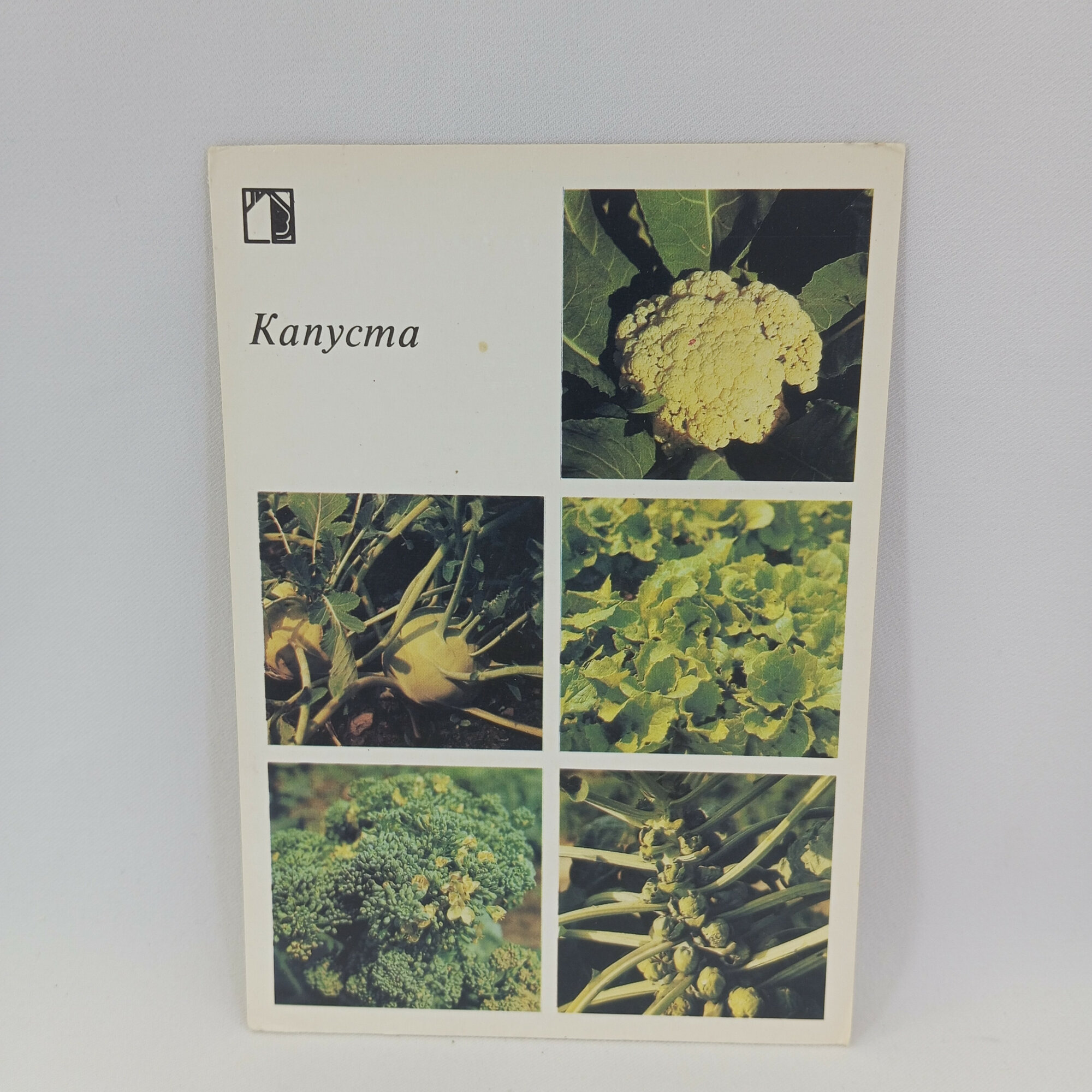 Открытка советская СССР. Цветная капуста и разновидности овощной культуры на грядках. Винтаж