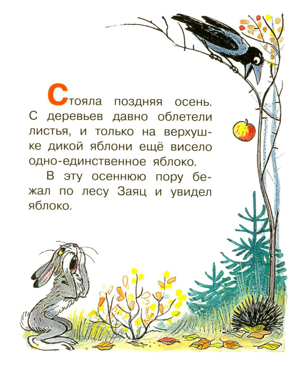 Яблоко. Сутеев В. Г. — фото 1