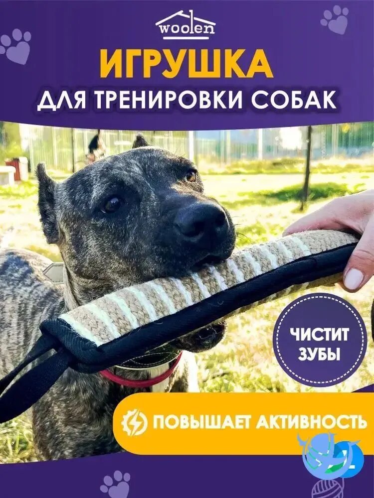 Эксклюзивный тренажер для обучения псов, черный