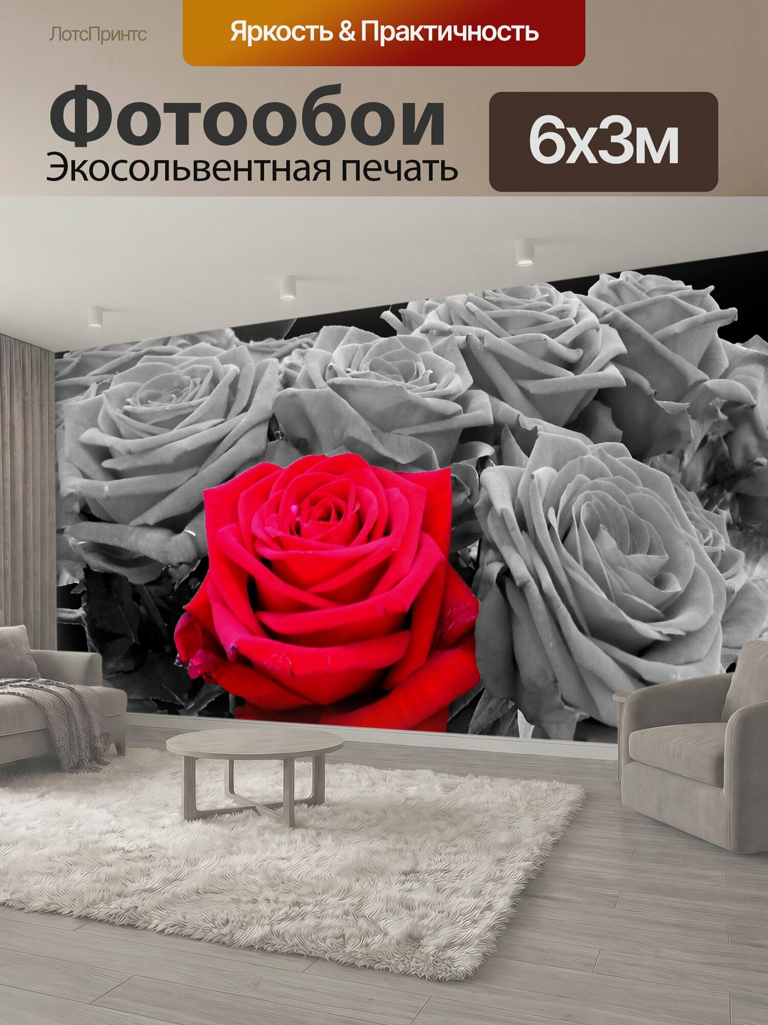 Фотообои "Розы, красный, черно-белый" 600x300 см. экосольвентная печать
