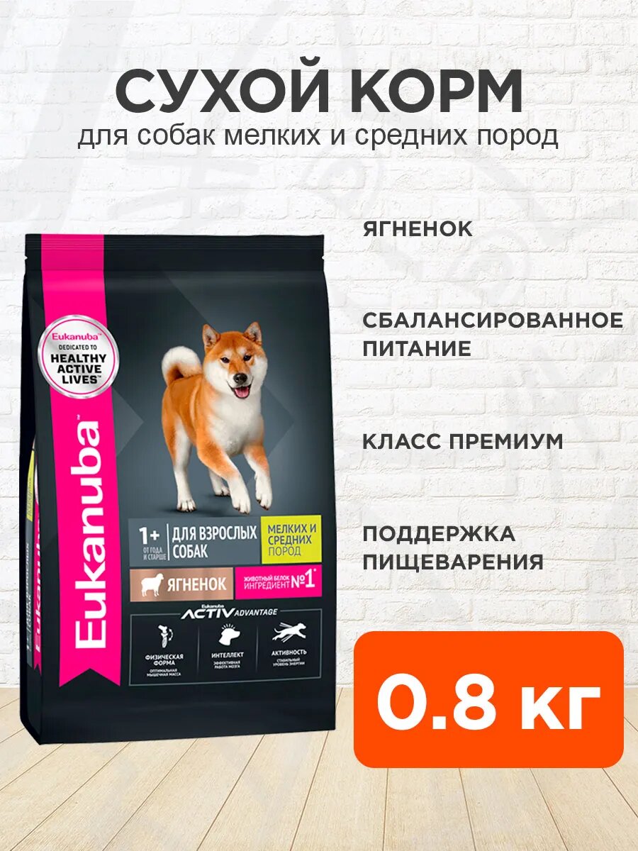 Корм сухой Eukanuba для взрослых собак маленьких и средних пород, ягненок, 800 г