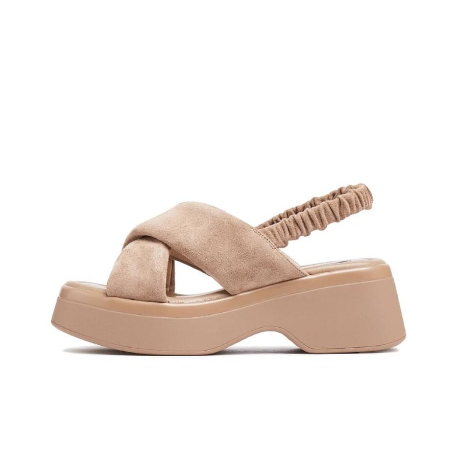 Сланцы
