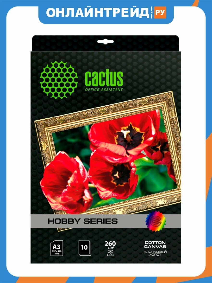Холст Cactus CS-CA326010 A3/300г/м2/10л./белый для струйной печати