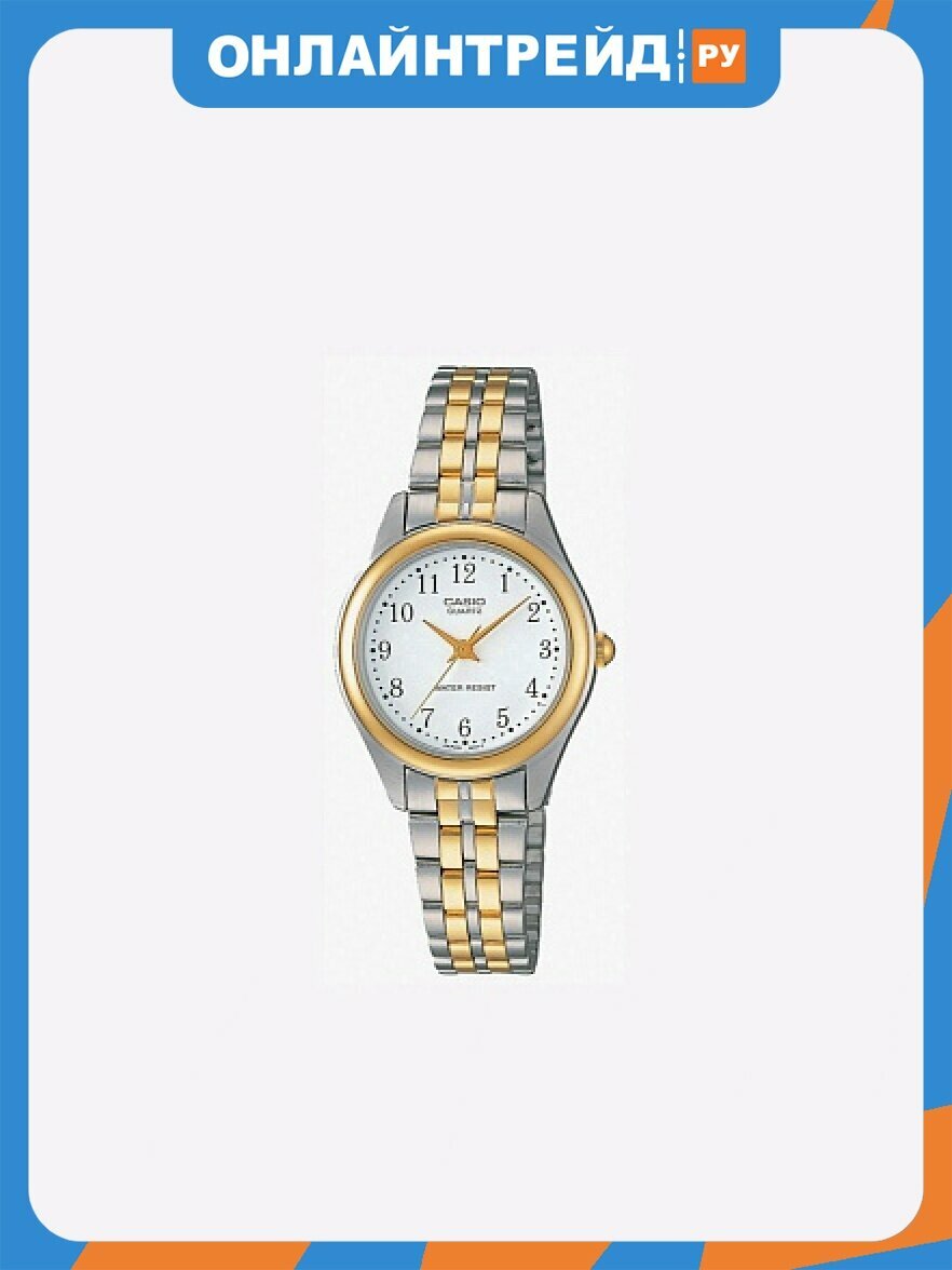  CASIO Collection