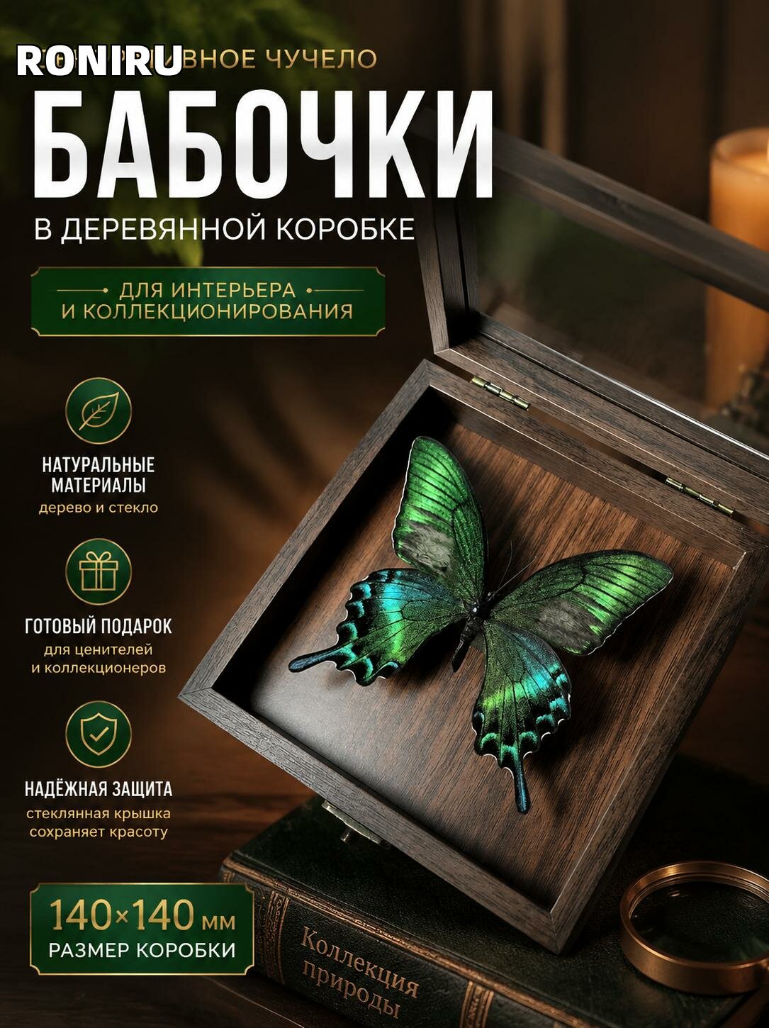 Декоративное чучело бабочки в рамке для интерьера и коллекционирования — черная деревянная рамка 140x140 мм