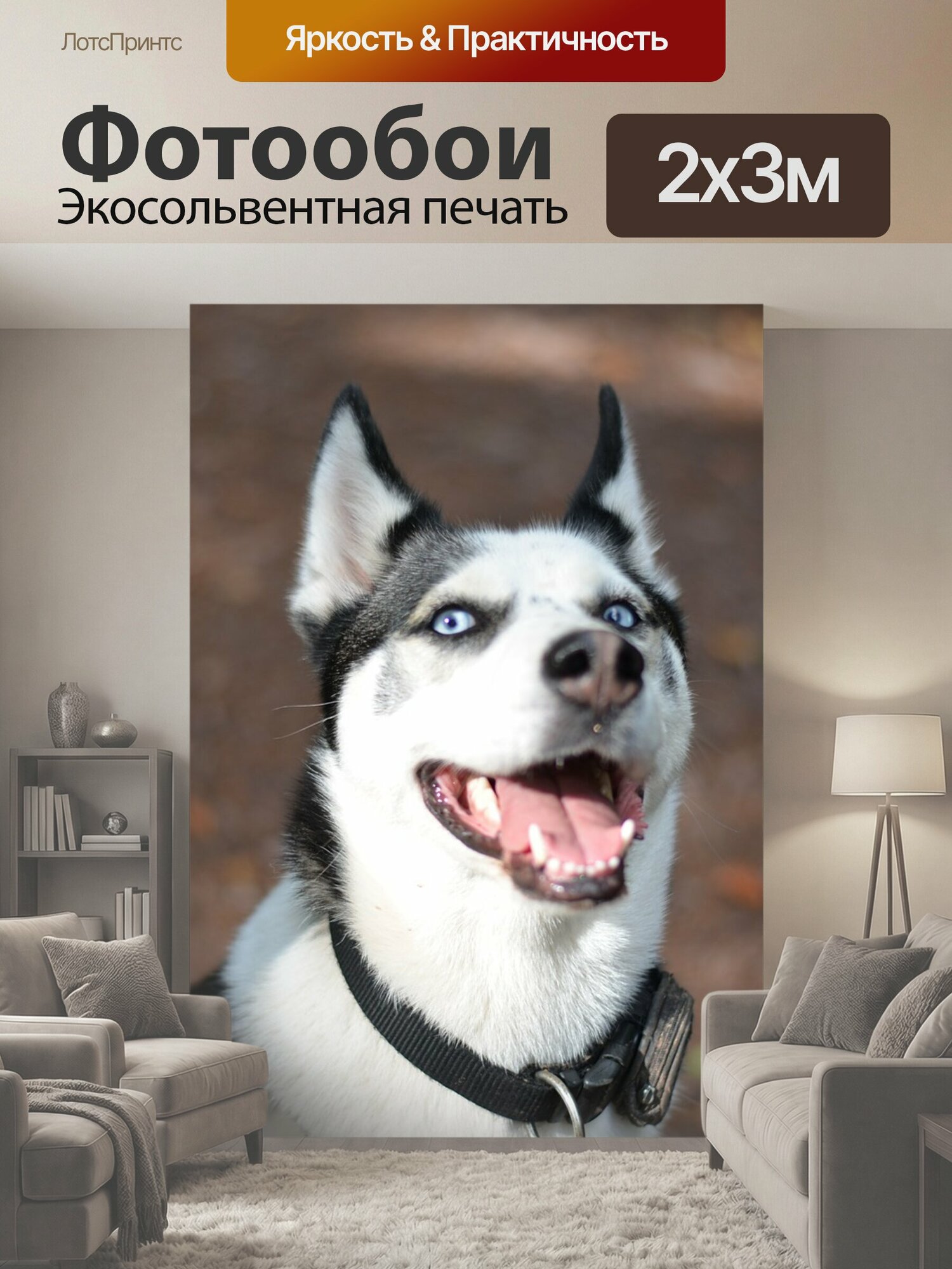 Фотообои "Сибирский хаски, хаски, собака" 200x300 см. экосольвентная печать
