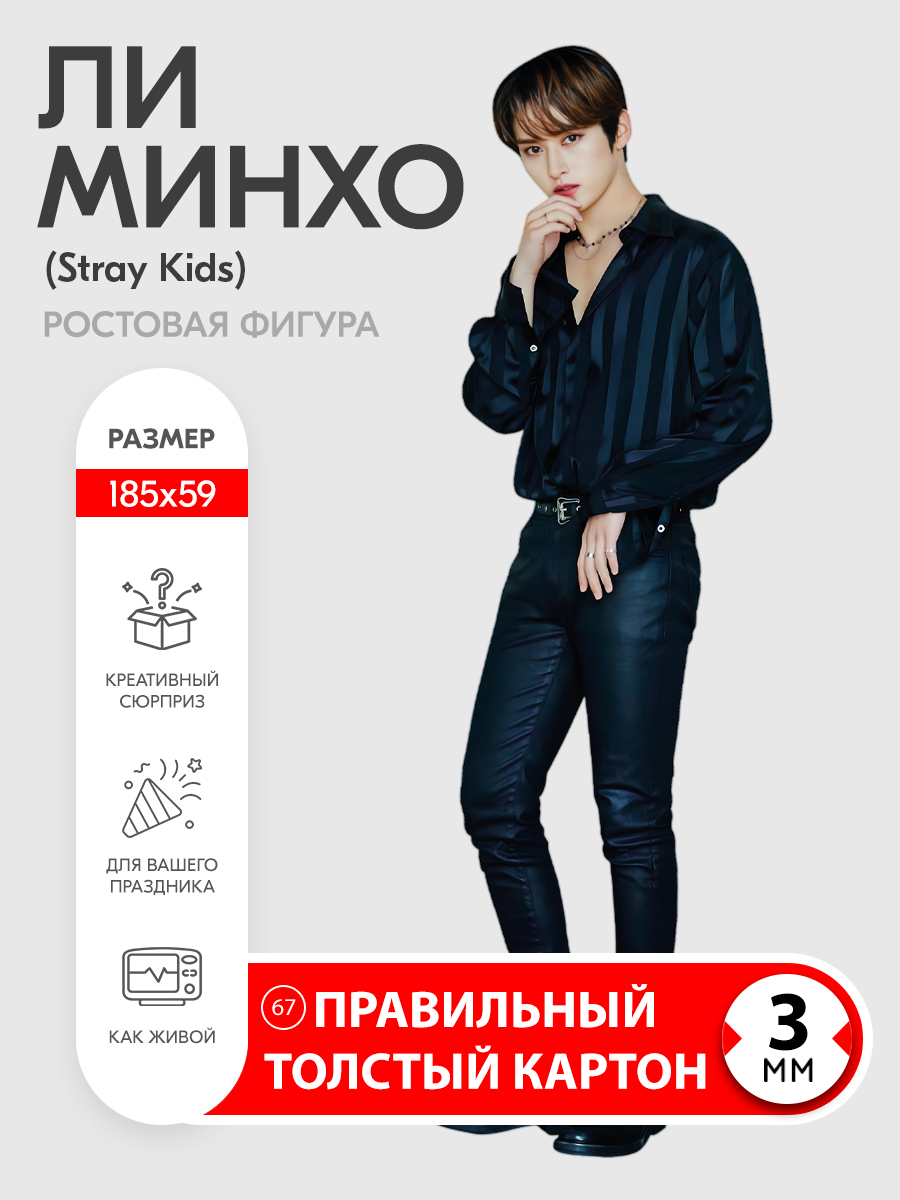 Аксессуар для фотосессий, самое это, Ли Минхо (Ли Ноу) (Stray Kids) 3, ростовая фигура