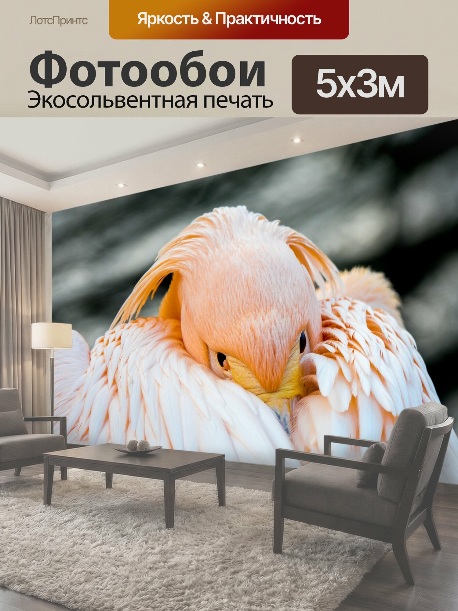 Фотообои "Пеликан, птица, природа" 500x300 см. экосольвентная печать