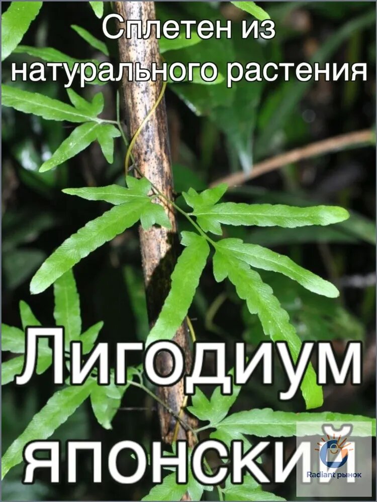 Фигурка садовая — фото 1