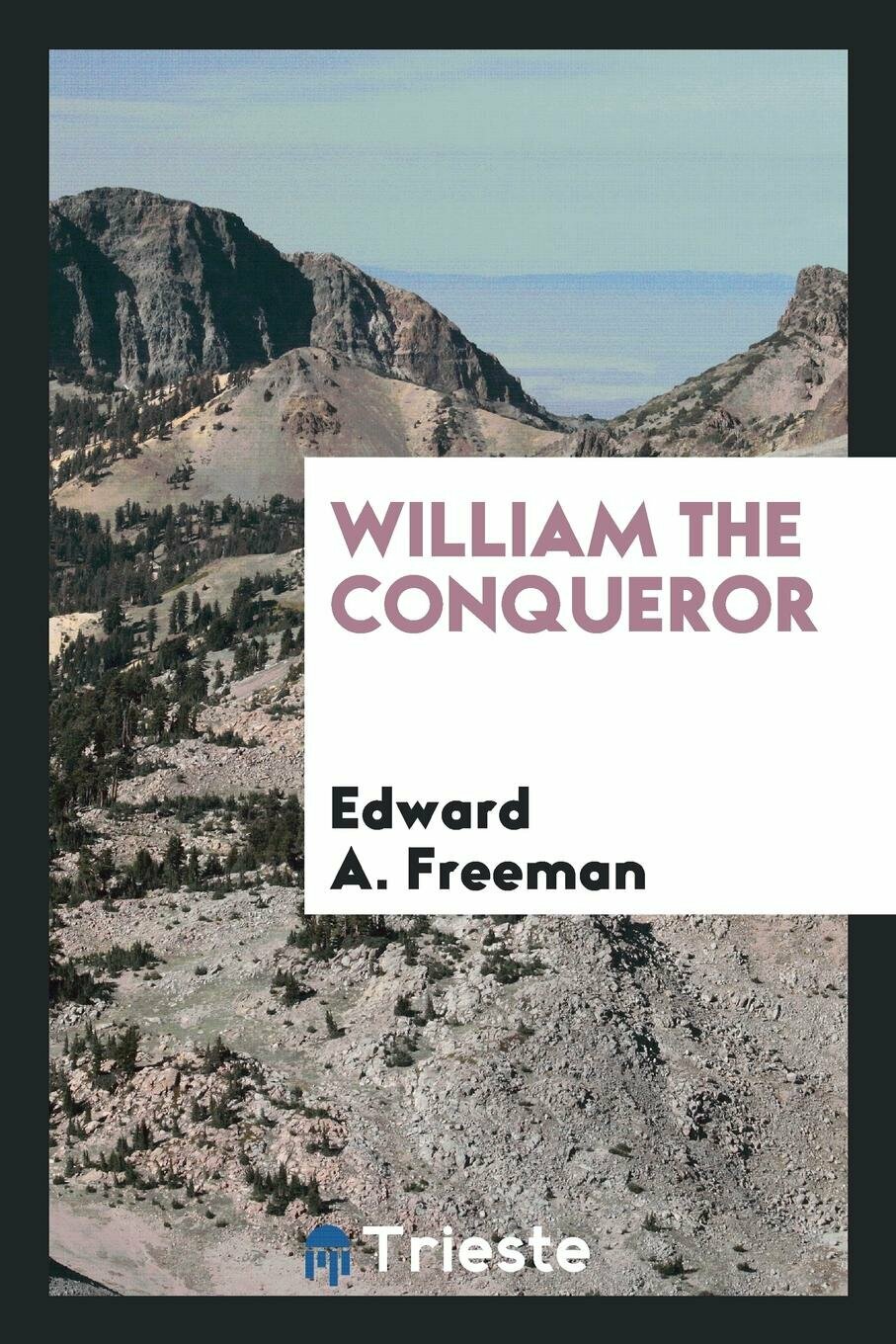 William the Conqueror — фото 1